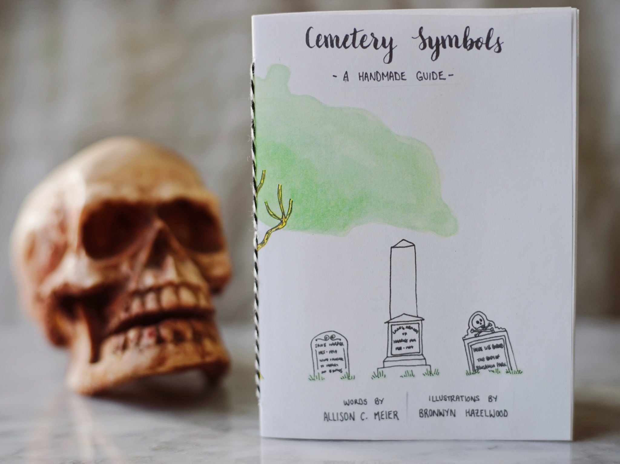 Publications – Allison C. Meier